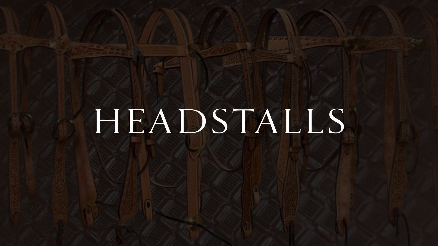 Headstall Collection – Genuine Billy Cook